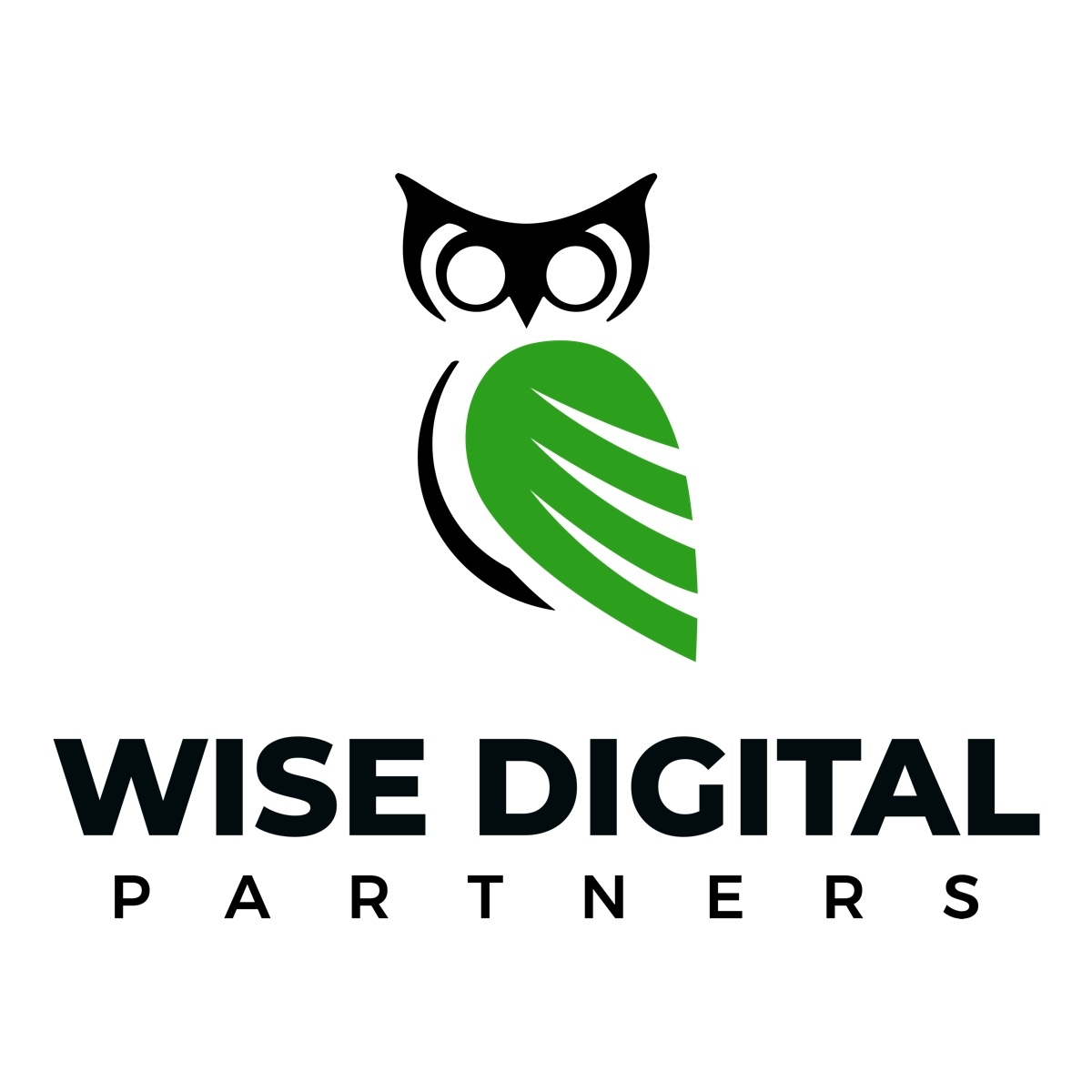 WISE Digital Partners Agency | Digital Agency Network