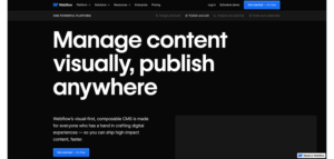 Best 13 Free & Online Graphic Design Software in 2025