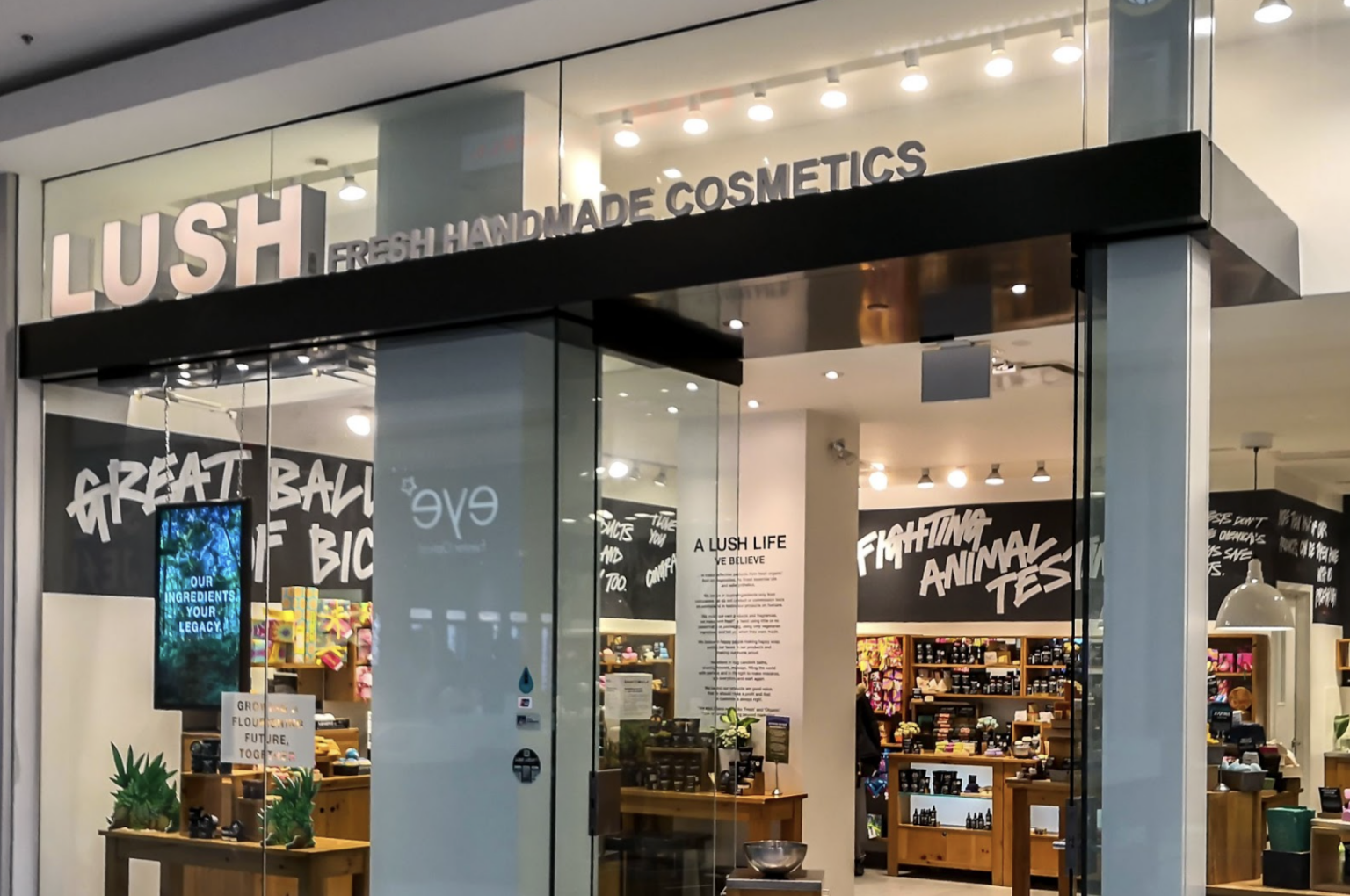 Best Brand Sustainability Ad Campaigns by Companies and Digital Agencies