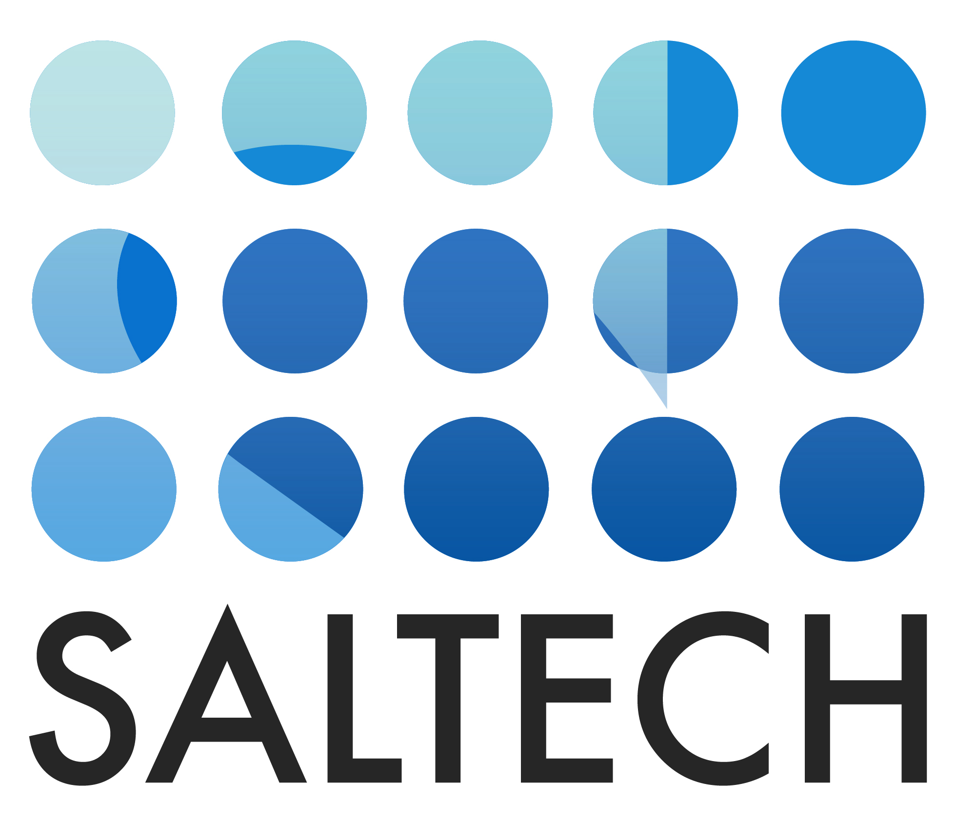 Saltech Systems Agency | Digital Agency Network